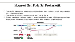 Ekspresi Gen Pada Sel Prokariotik (1).pptx