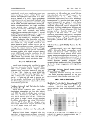 Ekspresi protein adhf36_pada_perubahan_osmolaritas_serta_p_h_lingkungan ...