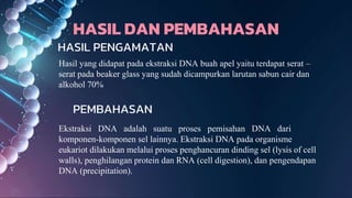 Ekstraksi DNA Apel 5B.pptx