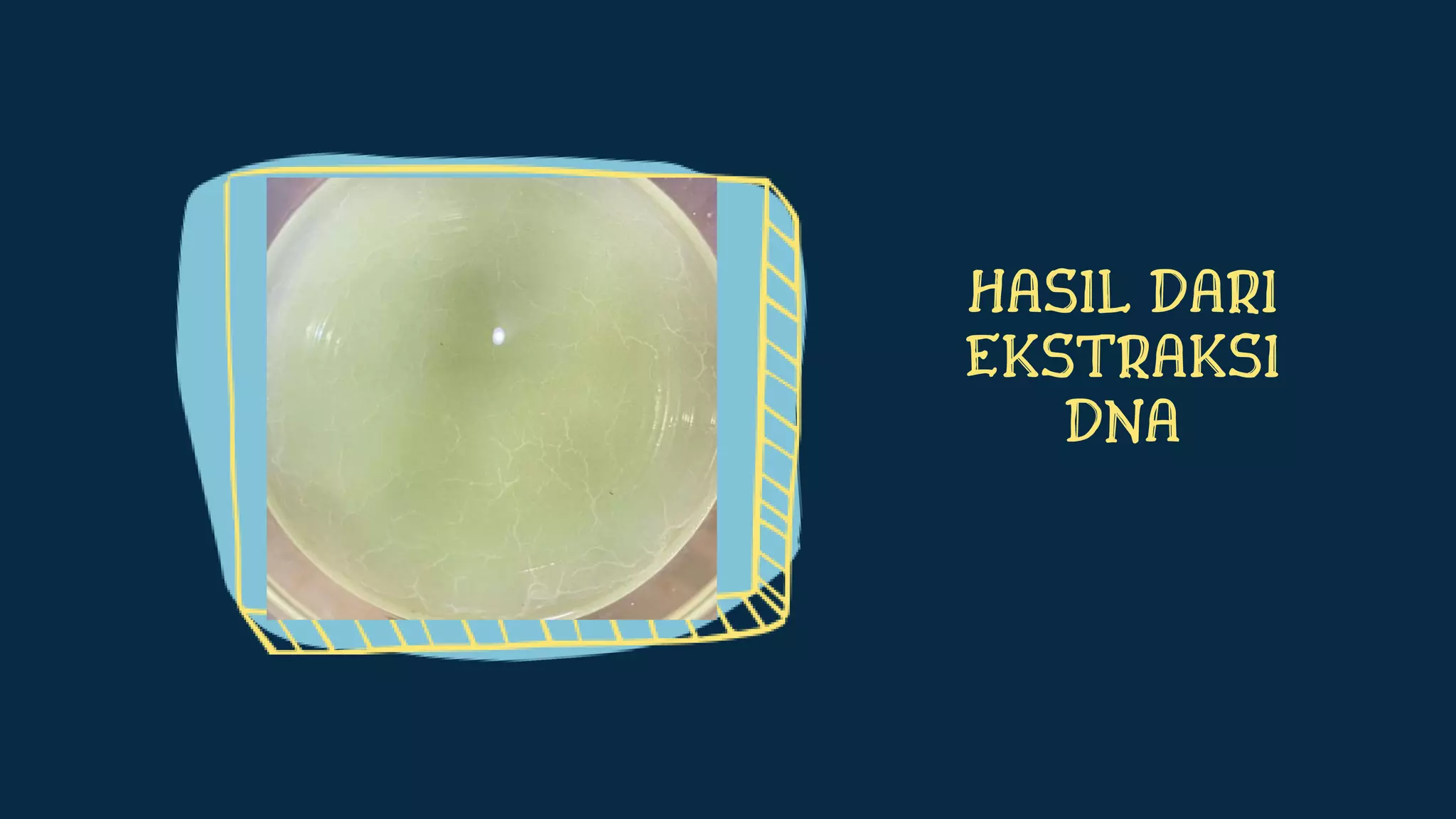 EKSTRAKSI DNA IKAN.pptx