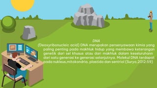 EKSTRAKSI DNA PISANG 5J.pptx