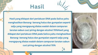 Ekstraksi DNA Manusia | PPTX
