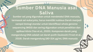 Ekstraksi DNA Manusia | PPTX