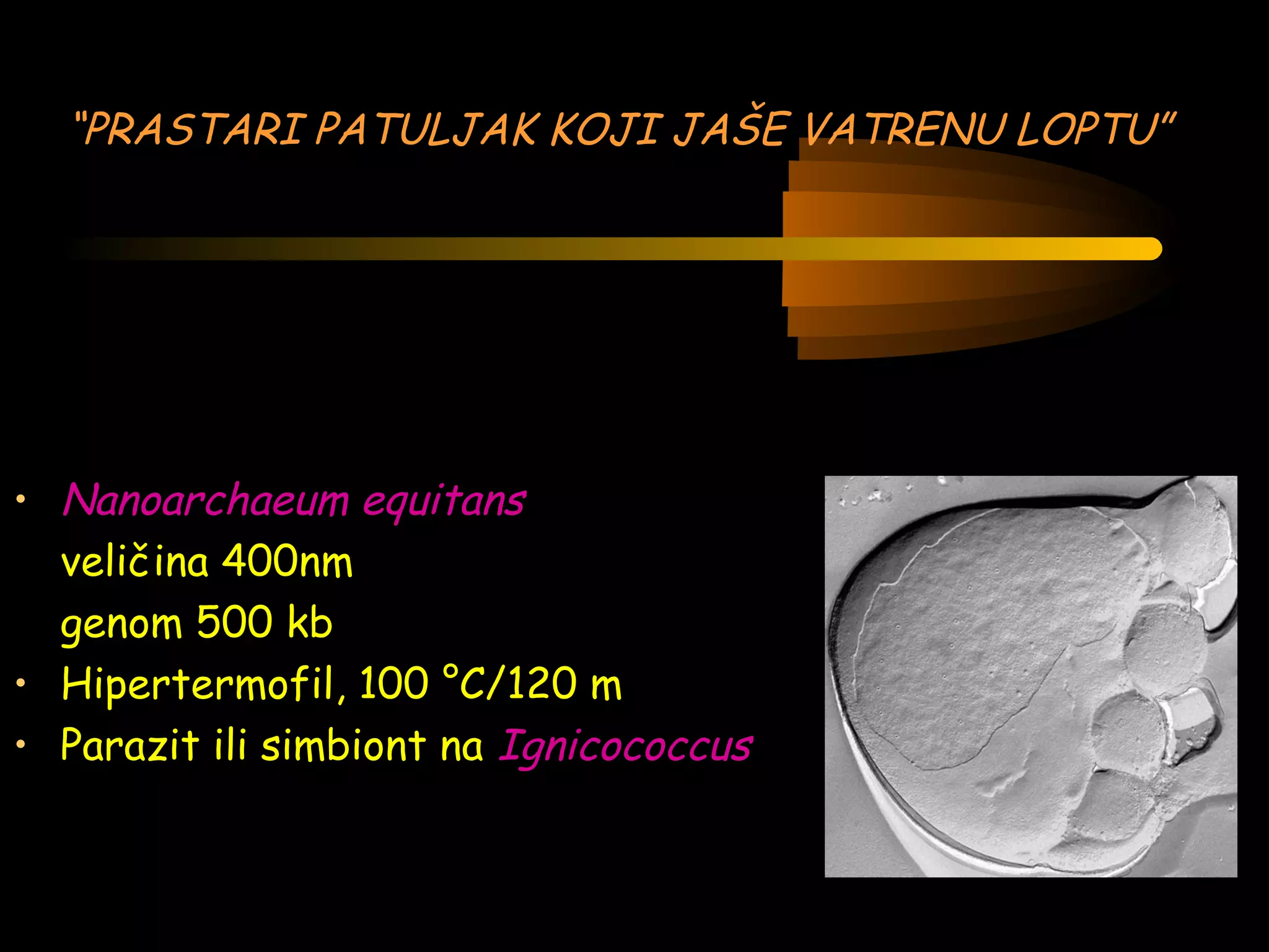 Ekstremofili | PPT