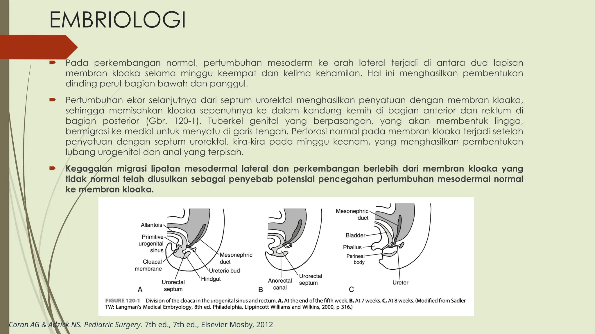 EKSTROFI BLADDER PEDIATRIC SURGERY .pptx