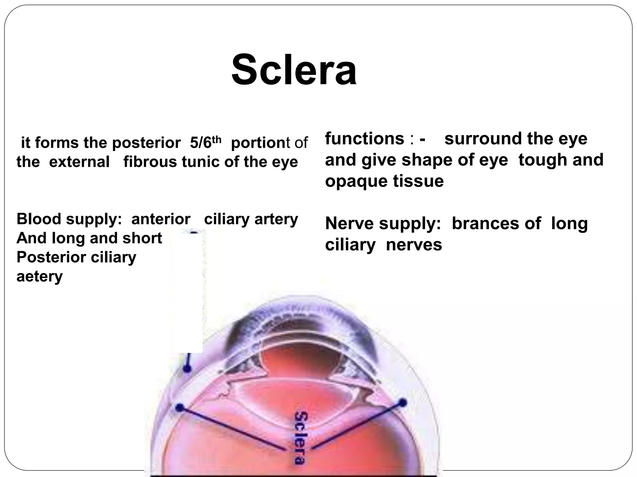 Anatomy & Refraction of eye | PPTX