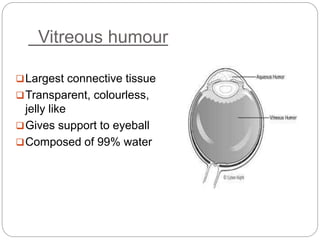 Anatomy & Refraction of eye | PPTX