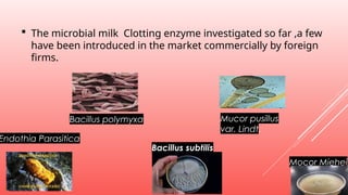 Rennet substitutes and types of rennets ( microbial rennets) | PPTX ...