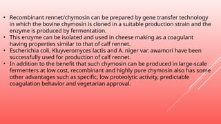 Rennet substitutes and types of rennets ( microbial rennets) | PPTX