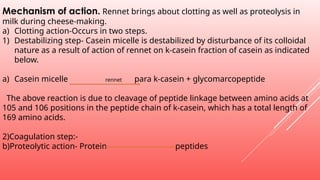 ekta rennet final ppt.pptx microbial rennet | PPT