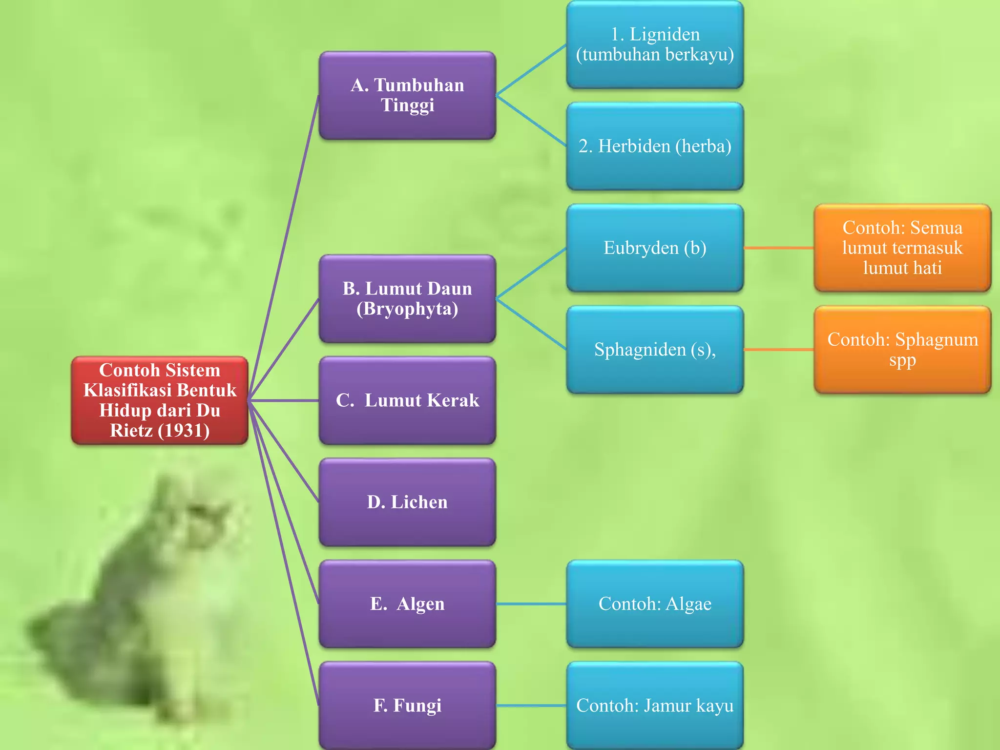 Ektum kel 9 metode analisis vegetasi | PPTX