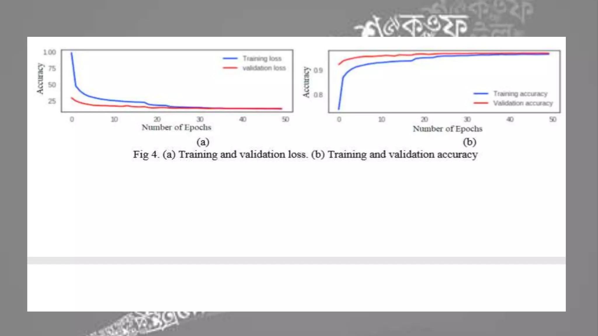 Ekush Net-Using Convolutional Neural Network(CNN) for Bangla Hand ...