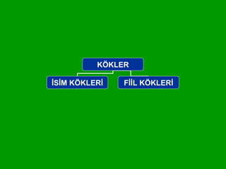 ekler ve kökler | PPT