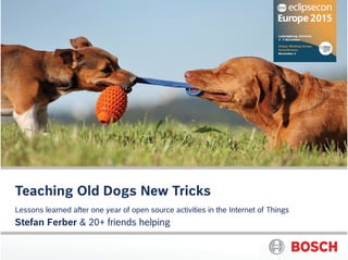 Teaching Old Dogs New Tricks | PPT