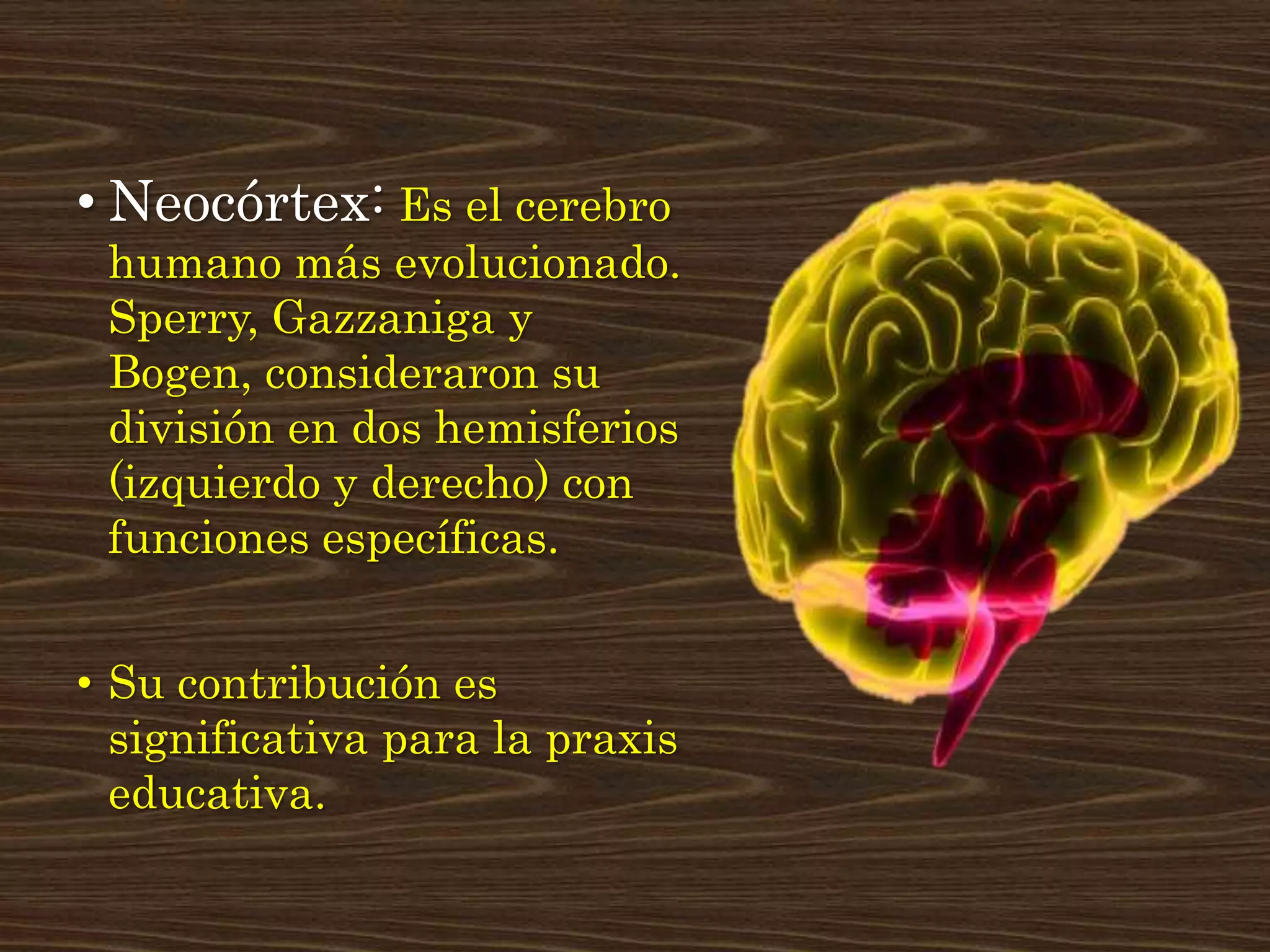 el-cerebro-triuno.ppt