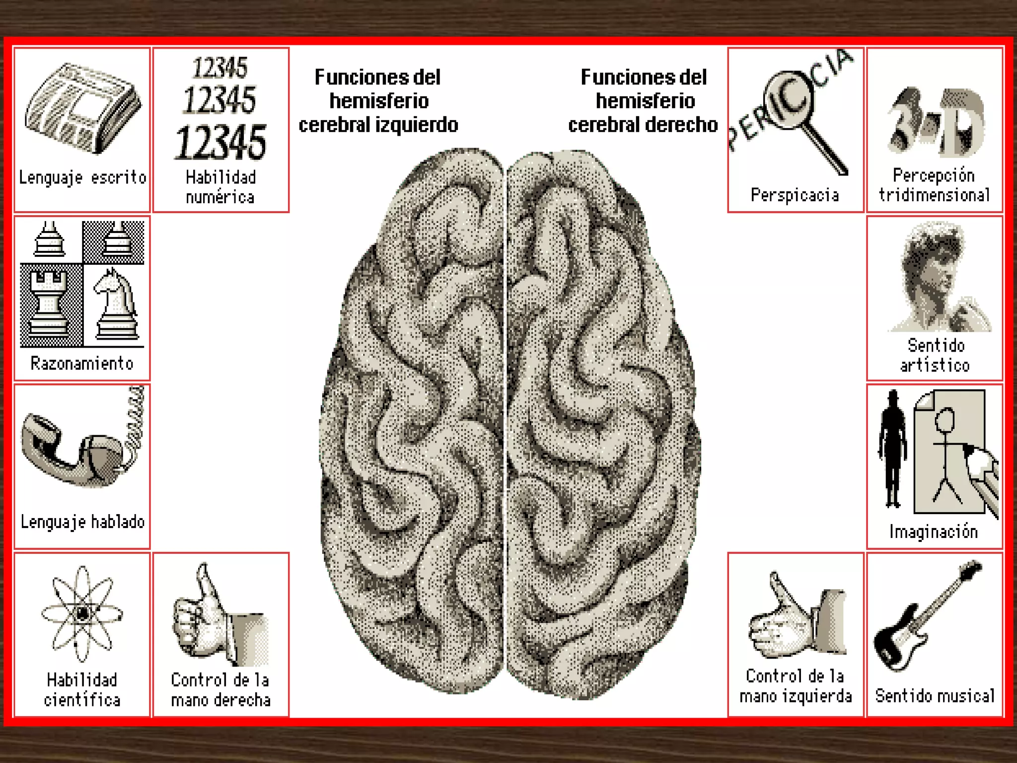 el-cerebro-triuno.ppt