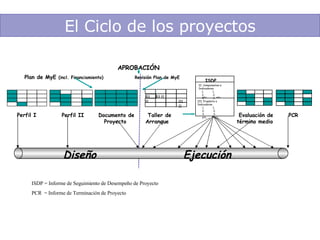 El Ciclo De Los Proyectos | PPT