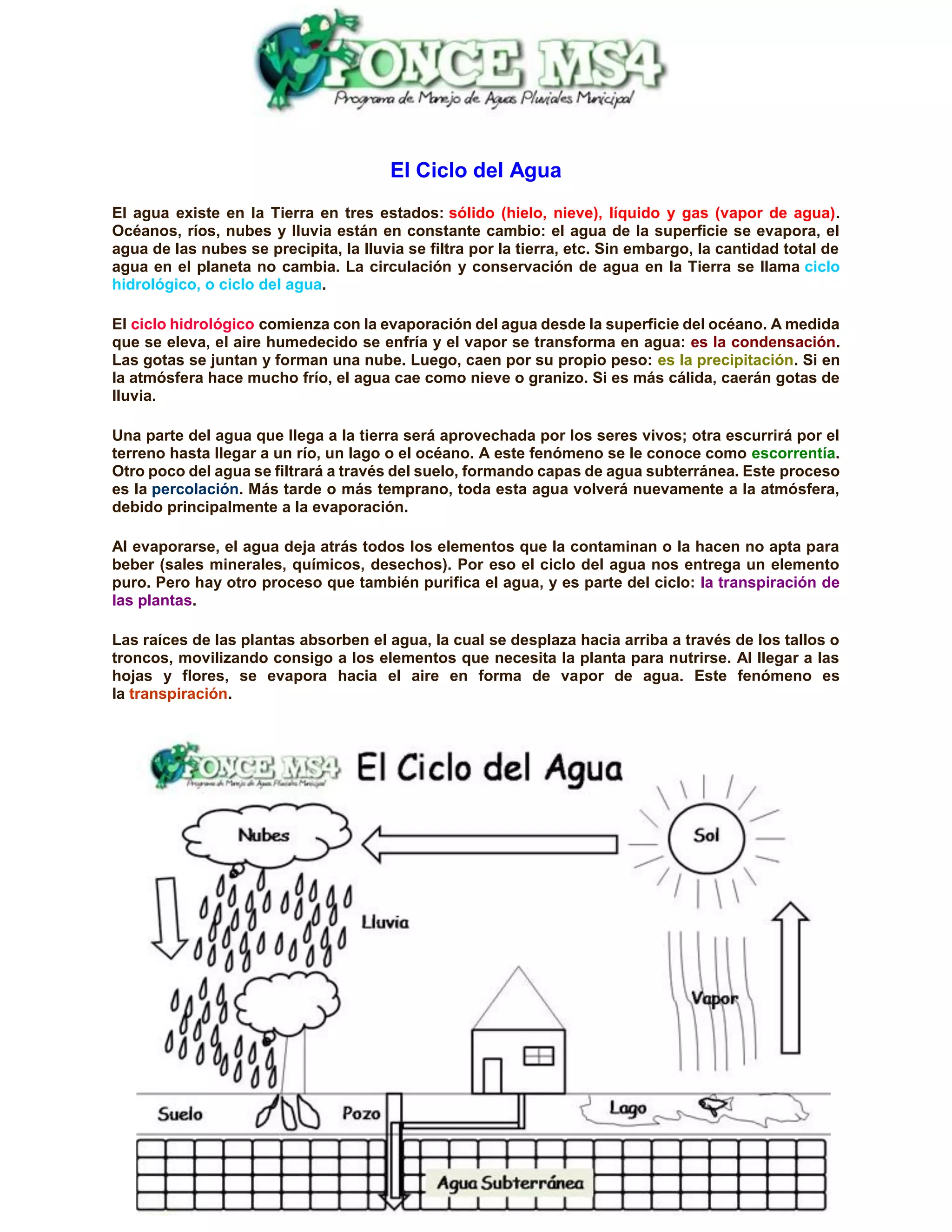 El ciclo-del-agua | PDF
