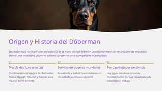 El Doberman:de las razas de perros más admiradas del mundo canino | PPTX