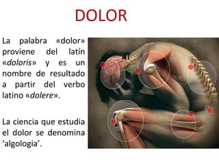 El dolor | PPT