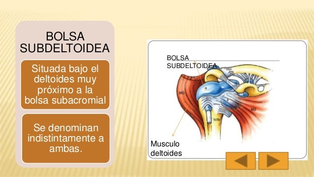 El Hombro
