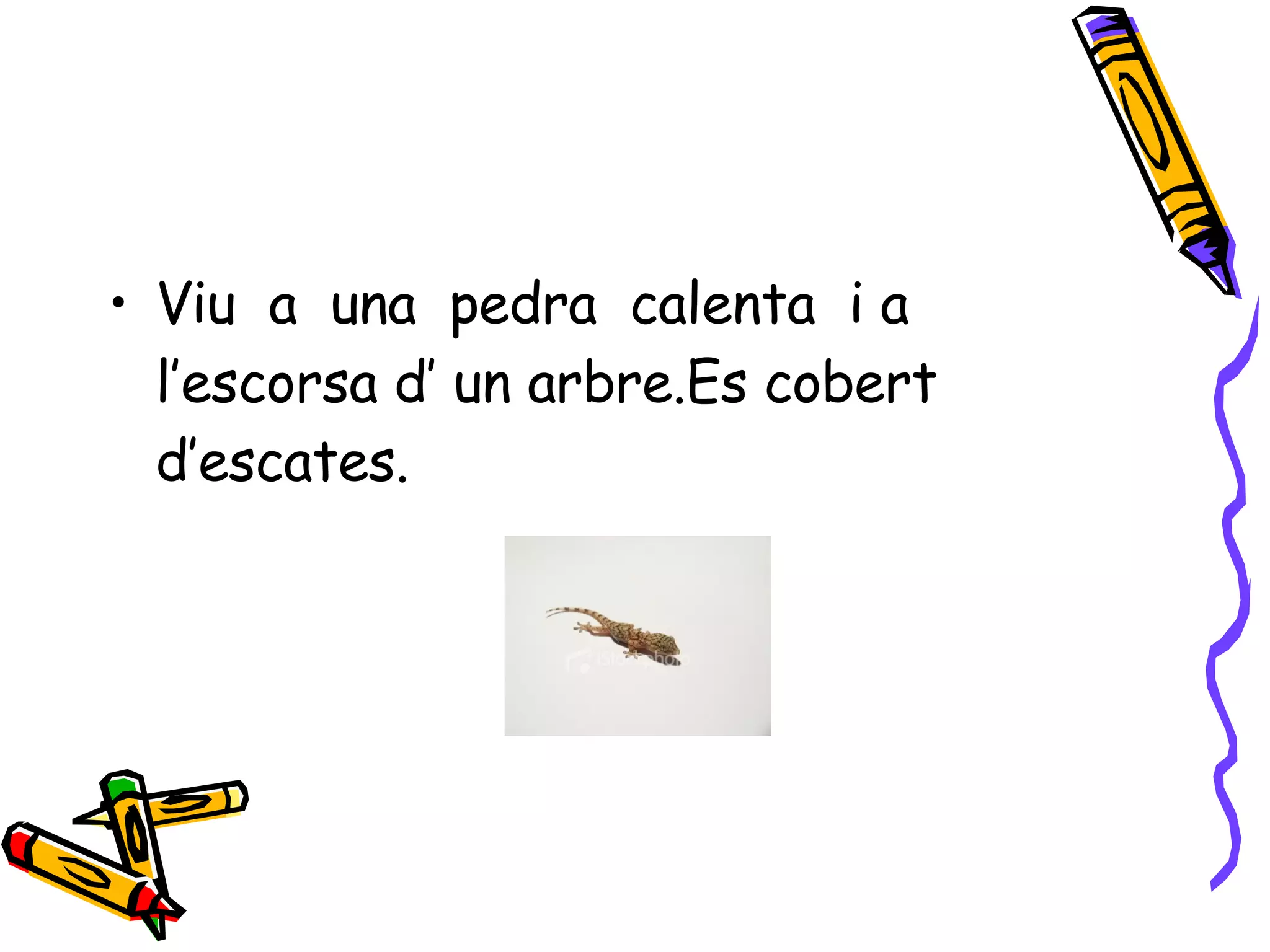 El Llangardaix | PPT