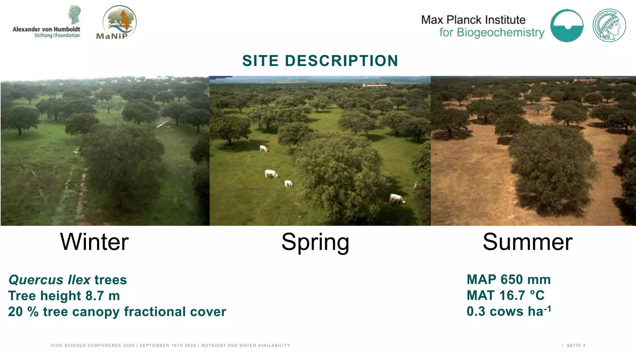 El Madany, Tarek: How nutrient and water availability impact carbon ...