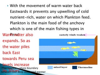 El Nino | PPT