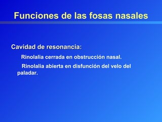 El NiñO Respirador Bucal B | PPT