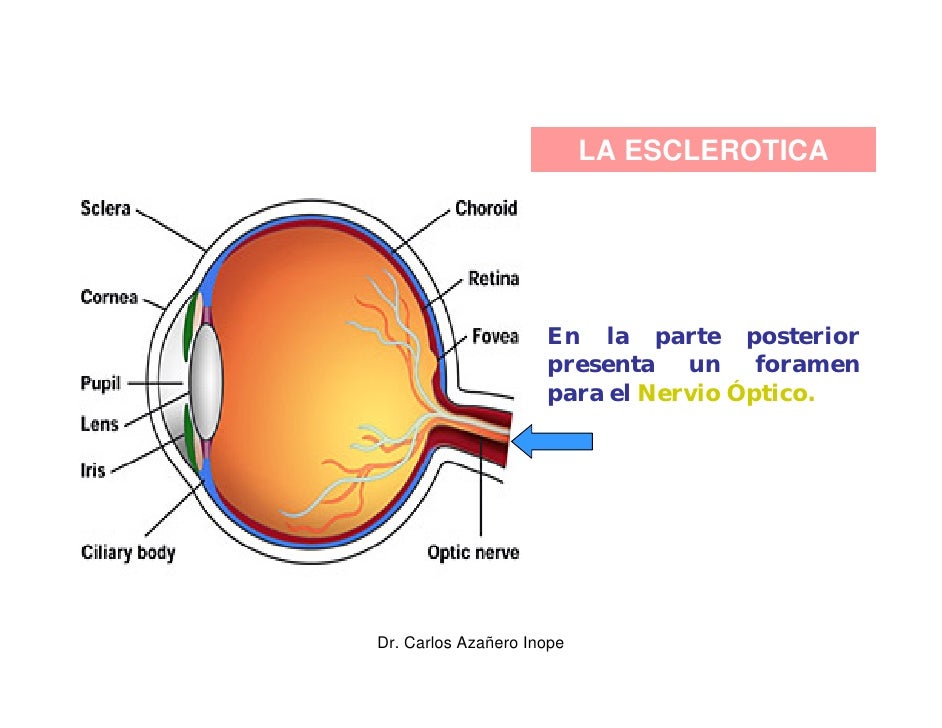 El Ojo 1