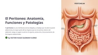 El-Peritoneo-Anatomia-Funciones-y-Patologias.pptx