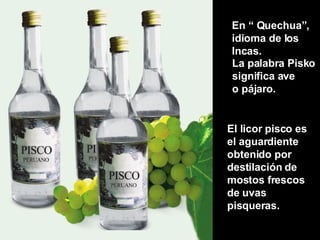 El Pisco es Peruano | PPS