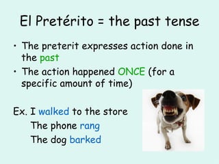 El Pretérito de los verbos | PPT