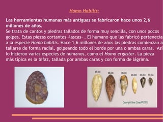 El proceso de hominización ( Josefa, Ana Isabel, jo se Alberto | PPT