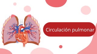 Circulación pulmonar y tráquea y sus estructuras | PPTX