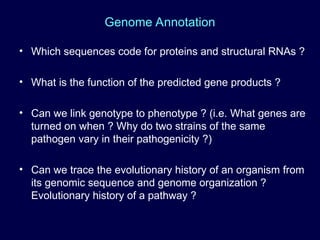 gene analysis an annotation presentation_1.ppt