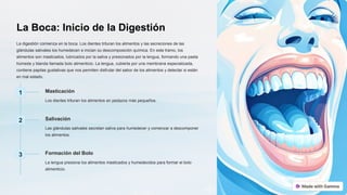 SISTEMA DIGESTIVO HUMANO ENFERMERIA TECNICA | PPTX