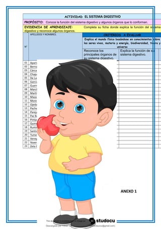 el-sistema-digestivo-sesion-de-aprendizaje-para-segundo-grado-de ...