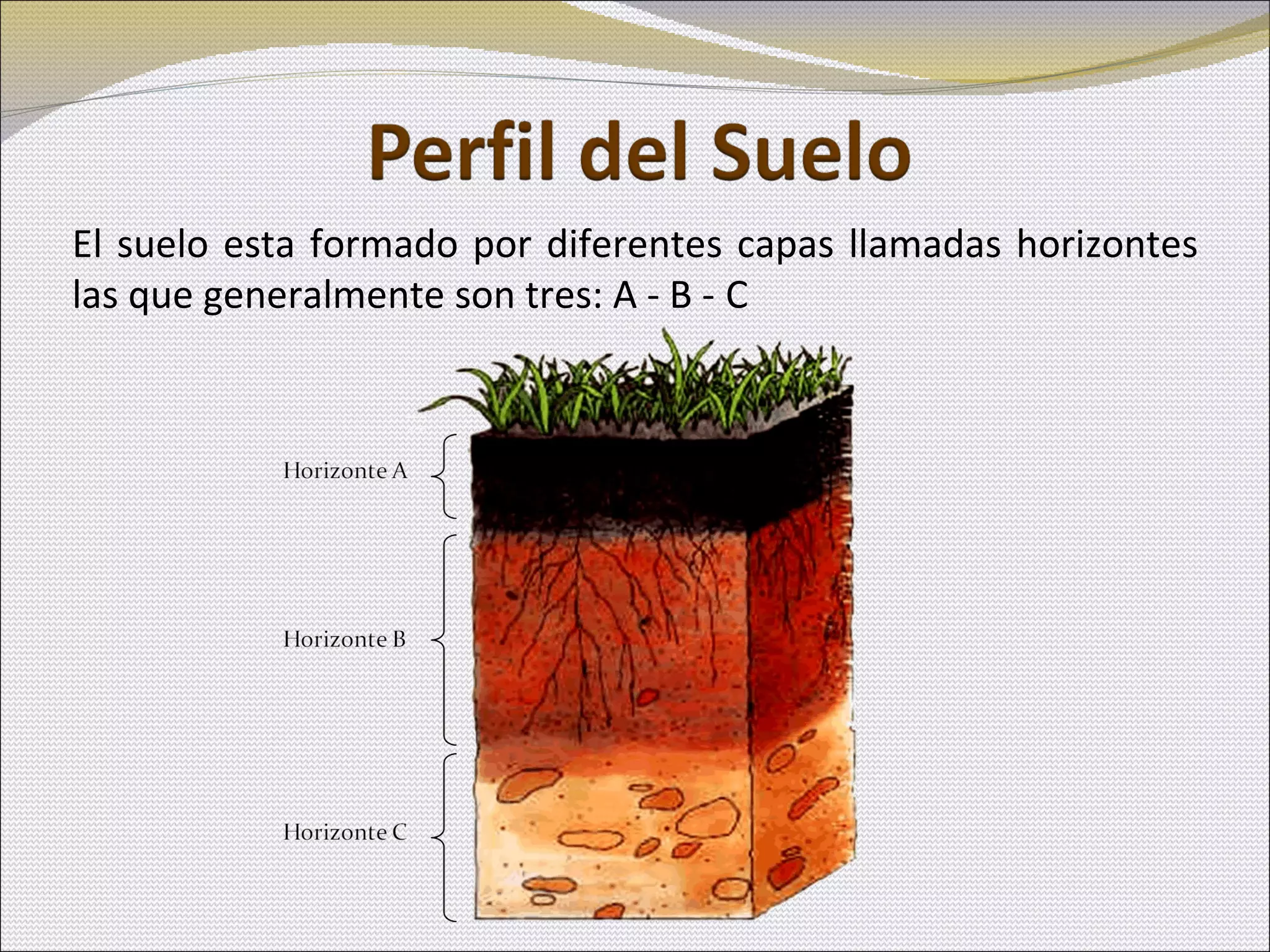 El Suelo | PPT