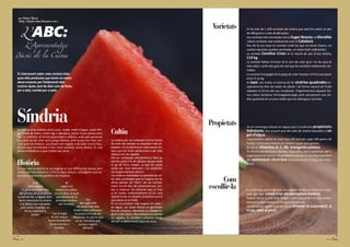 El Xop juny 2020.pdf