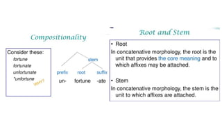 EL1-MORPHOLOGY-REPORTING new topic (2).pptx