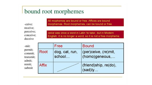 EL1-MORPHOLOGY-REPORTING new topic (2).pptx