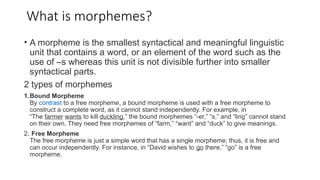 EL1-MORPHOLOGY-REPORTING new topic (2).pptx