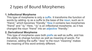 EL1-MORPHOLOGY-REPORTING new topic (2).pptx