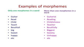 EL1-MORPHOLOGY-REPORTING new topic (2).pptx