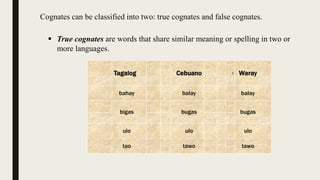 Theories and Principles of MTB-MLE | PPTX