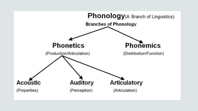 Introduction to Linguistics(Lesson 1).pptx