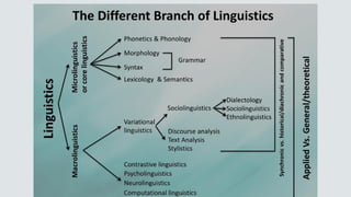 Introduction to Linguistics(Lesson 1).pptx