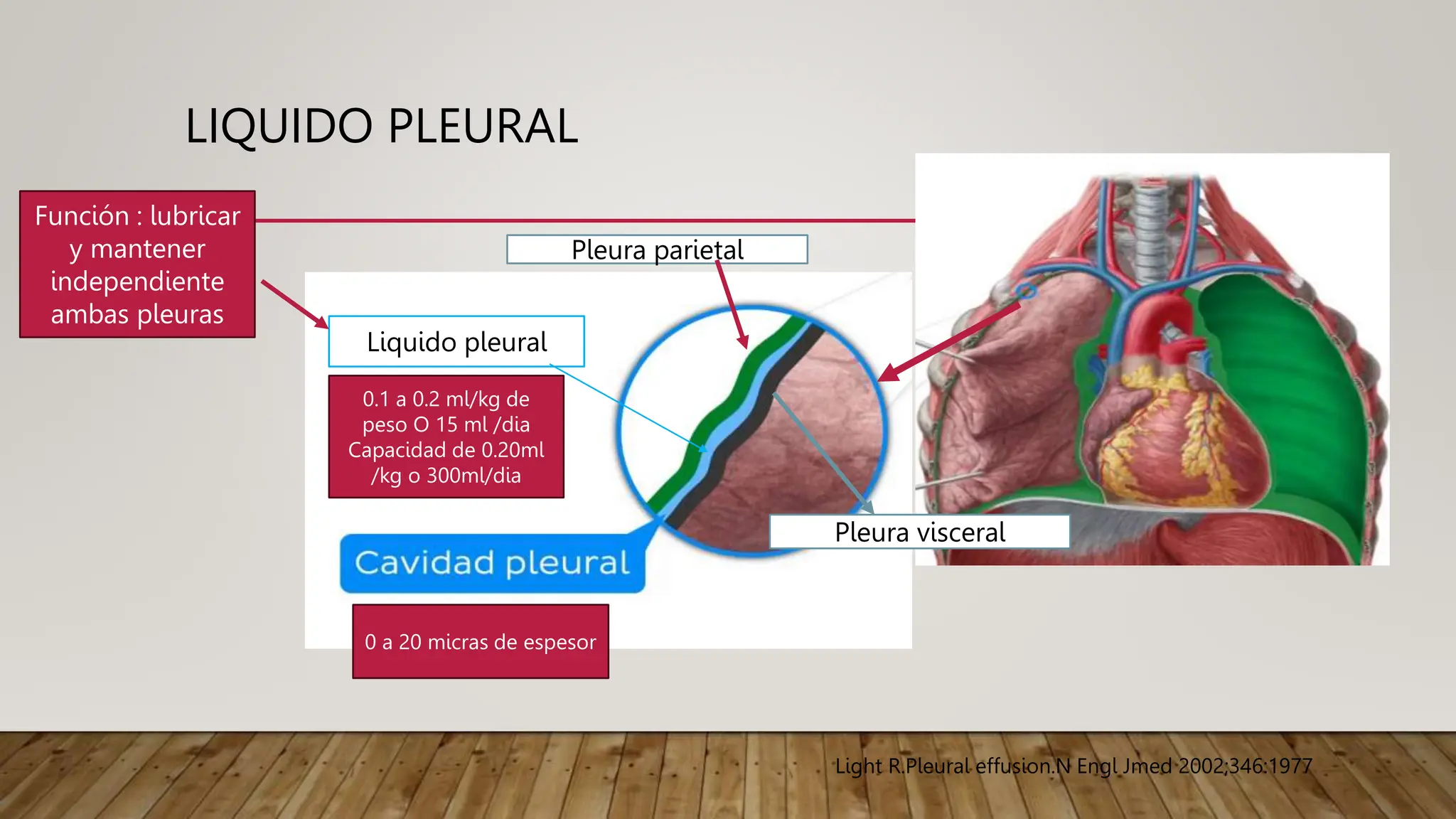 El abcd del liquido pleural tema de neumologia | PPTX | Lung and ...