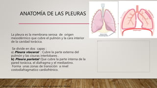 El abcd del liquido pleural tema de neumologia | PPTX
